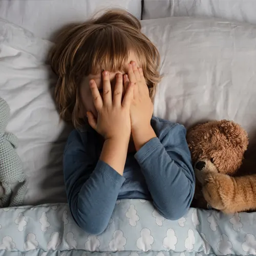 Care & Protection | Paterson Dowding Family Lawyers